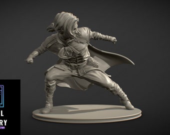 Rogue 3d Print - Etsy