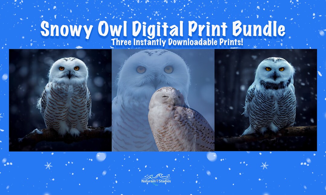 Printable Snowy Owl Digital Art Print Bundle | Blended Art | Digital ...