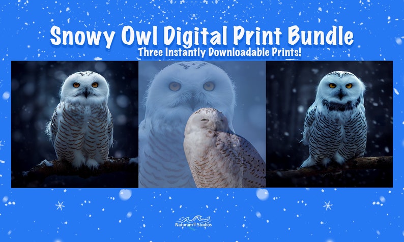 Printable Snowy Owl Digital Art Print Bundle | Blended Art | Digital ...