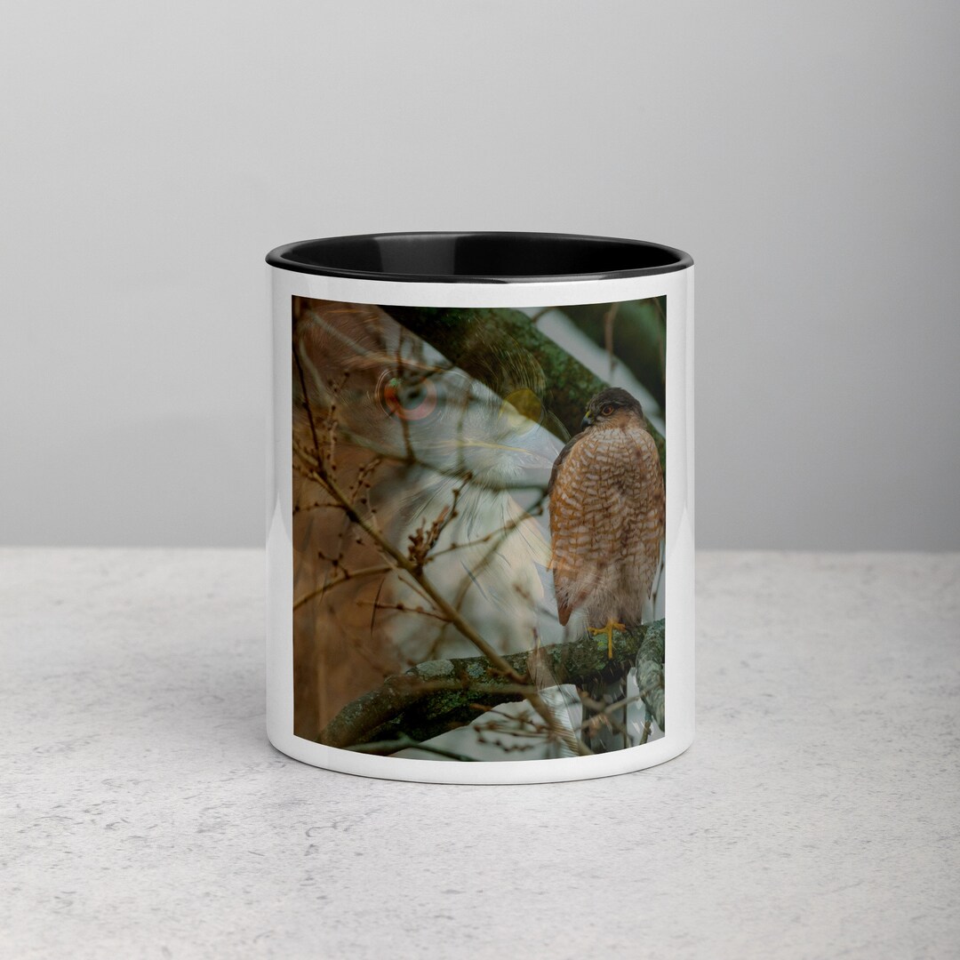 Sharp-shinned Hawk Mug With Color Inside | Ceramic Mugs | Gifts for ...