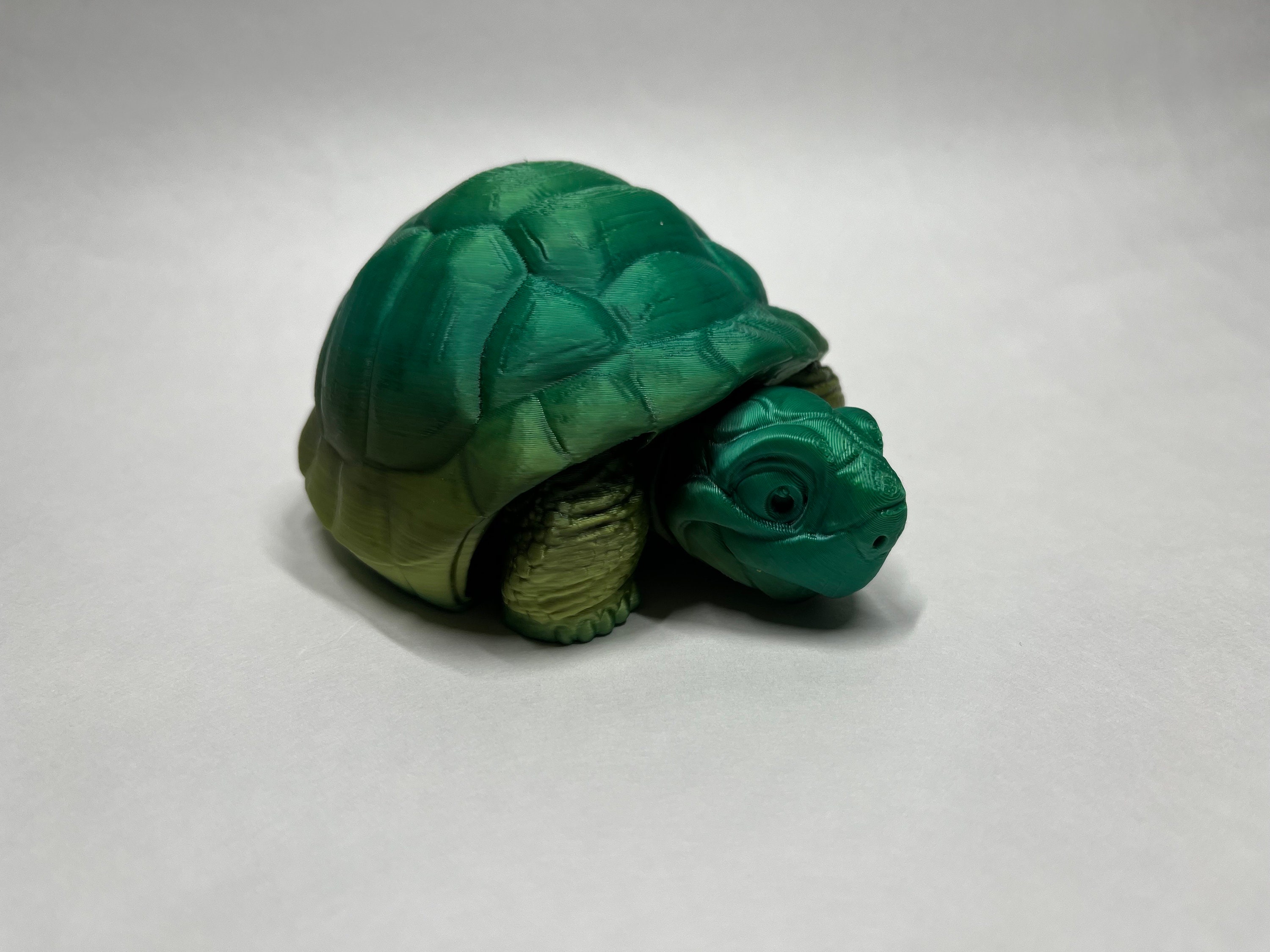 Articulated 3D Printed Tortoise!! - Fidget Toy - Stress Toy - Etsy