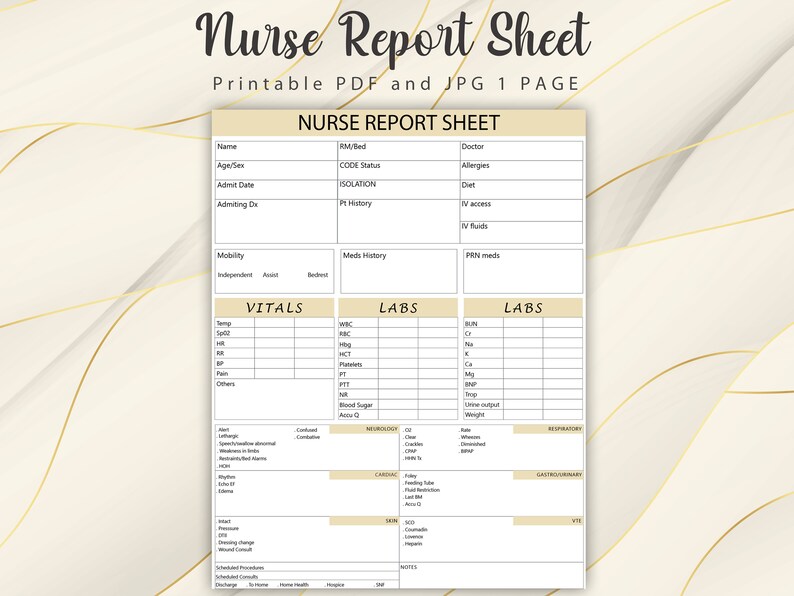 Printable Nursing Report Sheet, Nurse Brain Sheet, ICU Nurses Resources ...