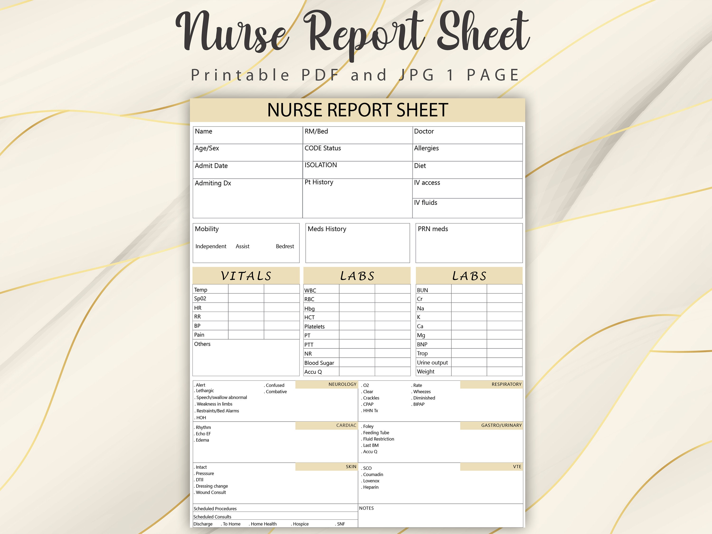 Printable Nursing Report Sheet, Nurse Brain Sheet, ICU Nurses Resources ...