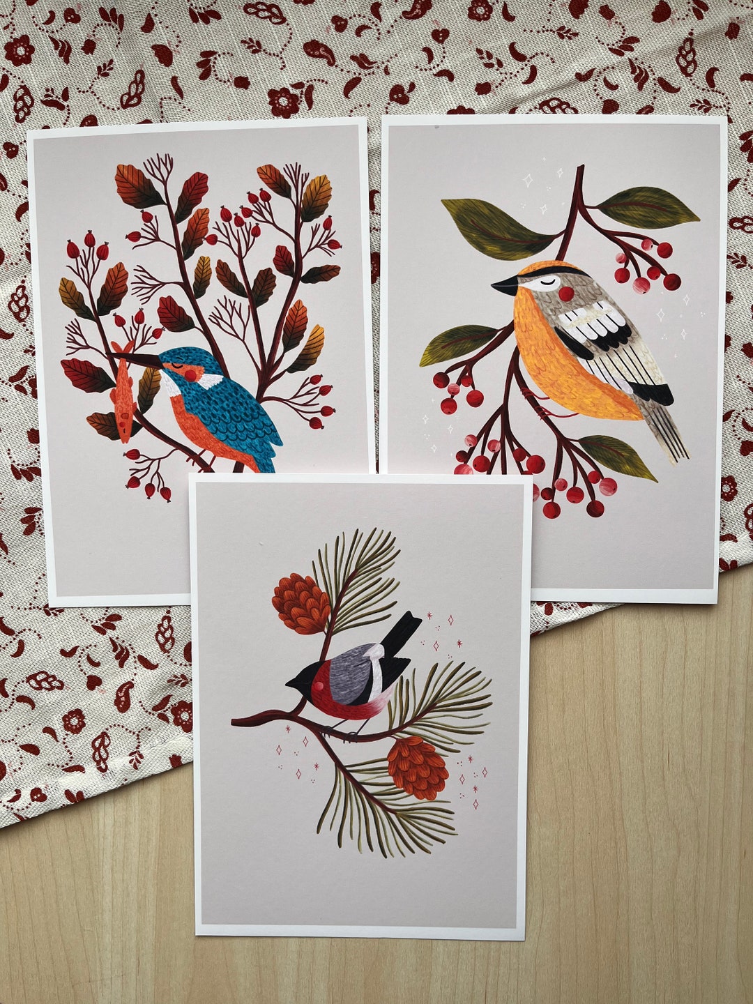 Birds Postcards Postcard Set Card Set Card Bundle Postcard - Etsy