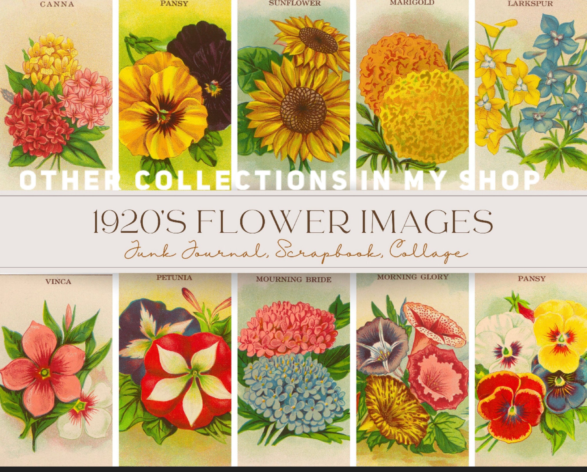 Vintage Flowers Clipart Bundle Victorian Seed Packet Images Flower ...