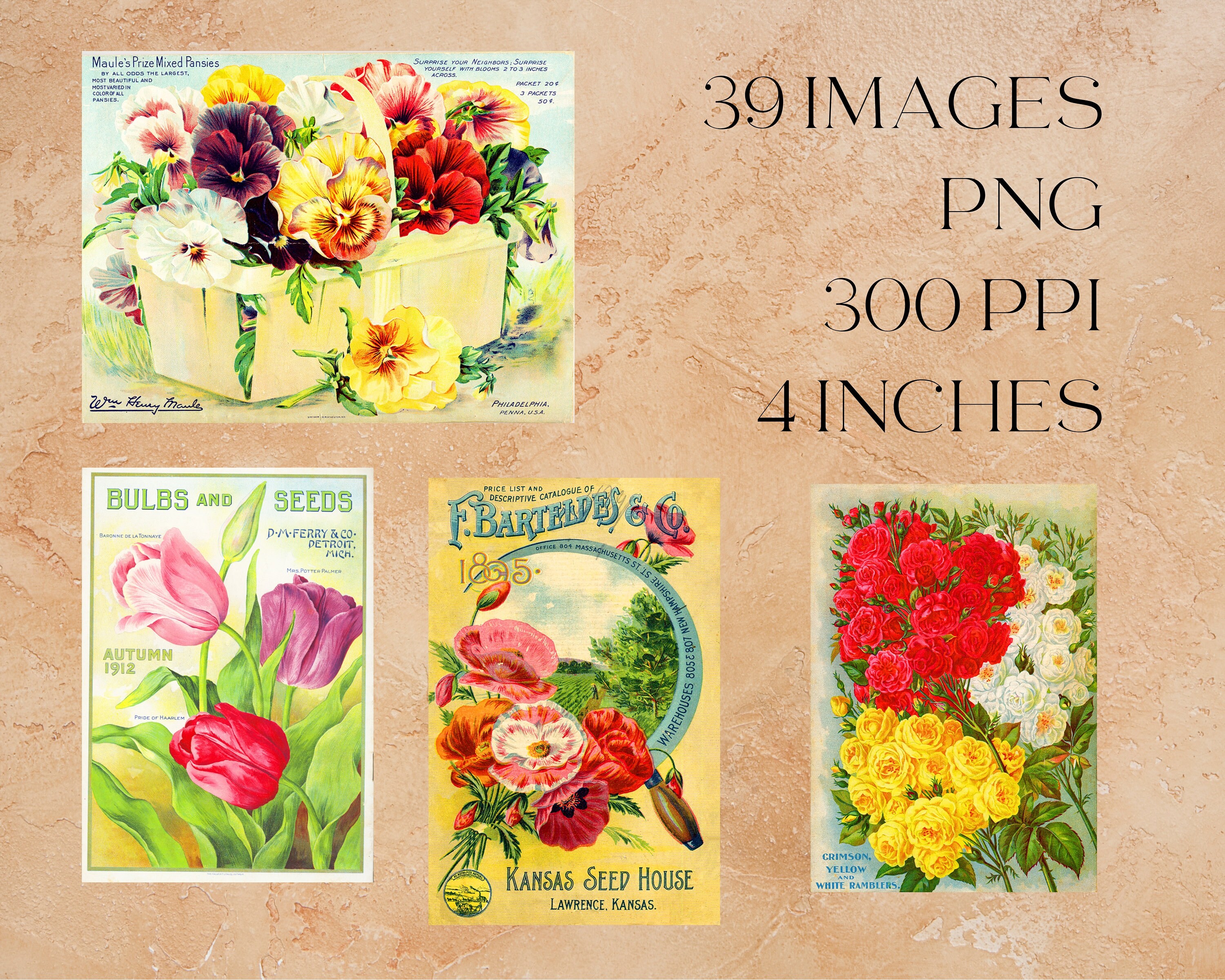 Vintage Flowers Clipart Bundle Victorian Seed Packet Images Flower ...