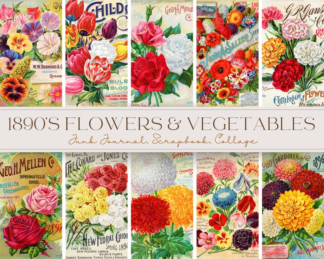 Vintage Flowers Clipart Bundle Victorian Seed Packet Images Flower ...