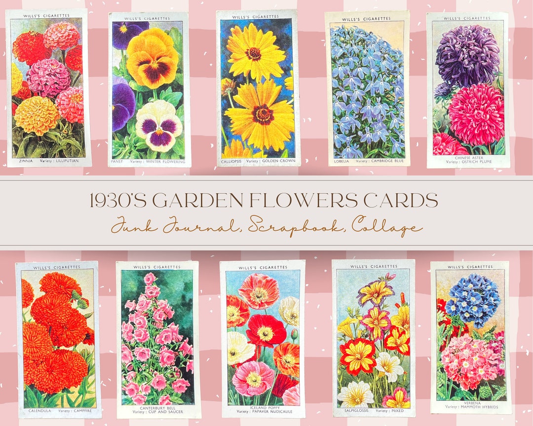 Vintage Flower Trading Cards Clipart: 1930s Ephemera (digital Download ...