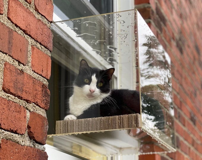 Custom Built Cat House - Etsy