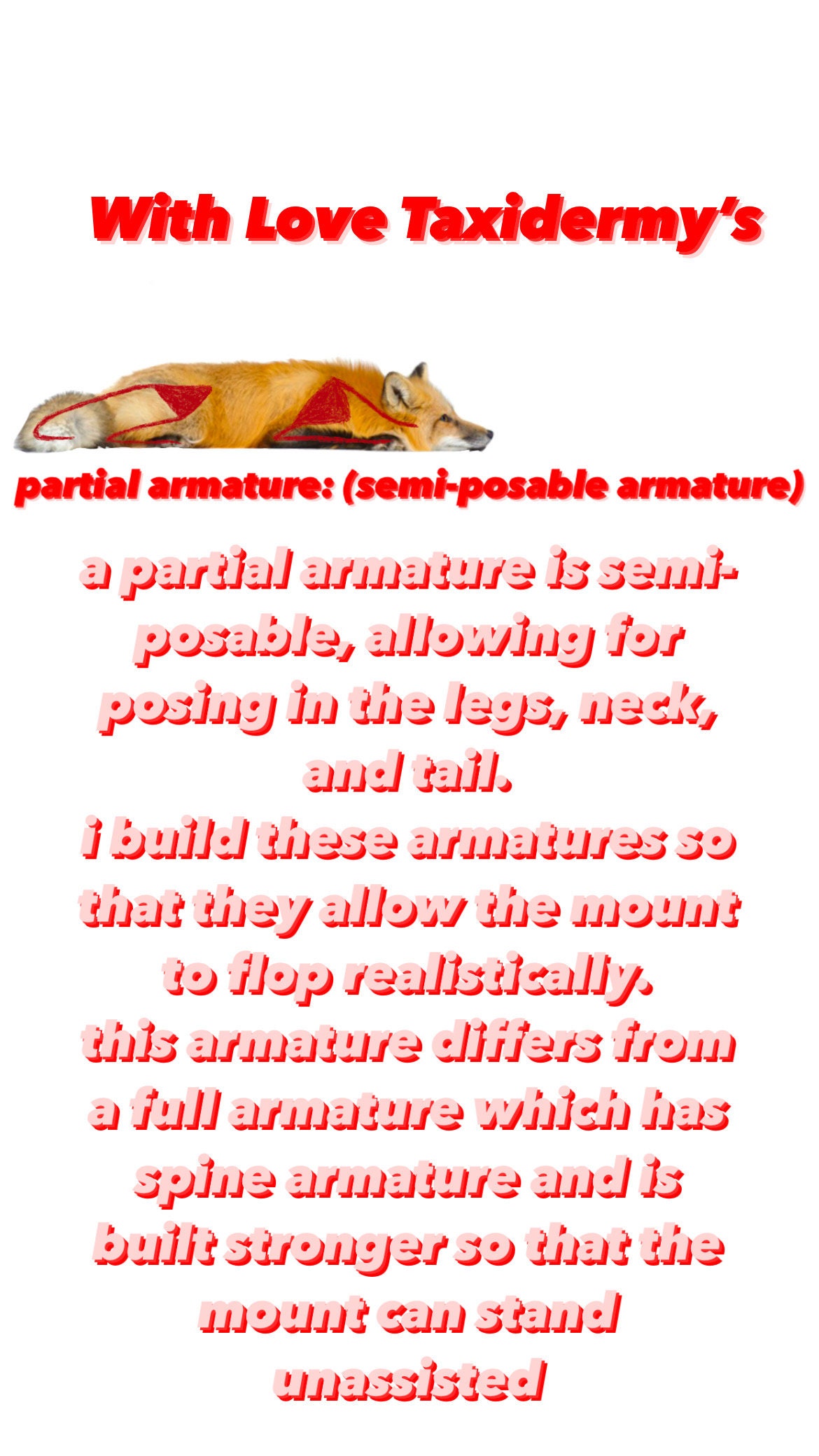 Taxidermy Soft Mount Partial Armature Commission Custom - Etsy