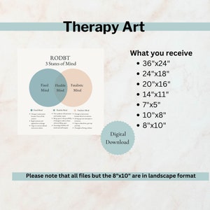 RODBT 3 States of Mind, Flexible Mind, RODBT Skills, Radically Open DBT ...
