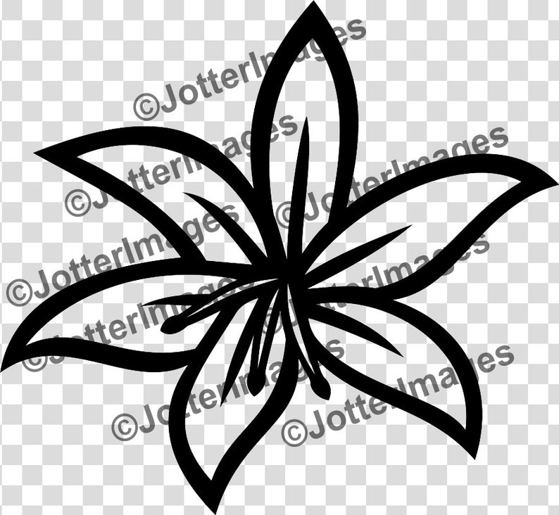 Basic Lily Flower Shape Image Download SVG, PNG Transparent Background ...