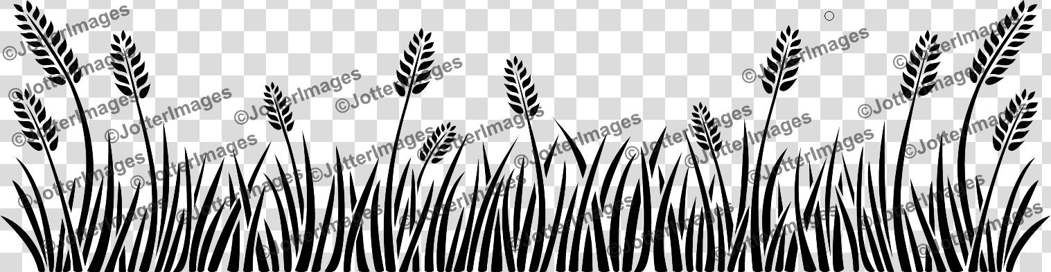 Grass, Corn, Barley Field Like Plant Rows Decorative Image Download SVG ...