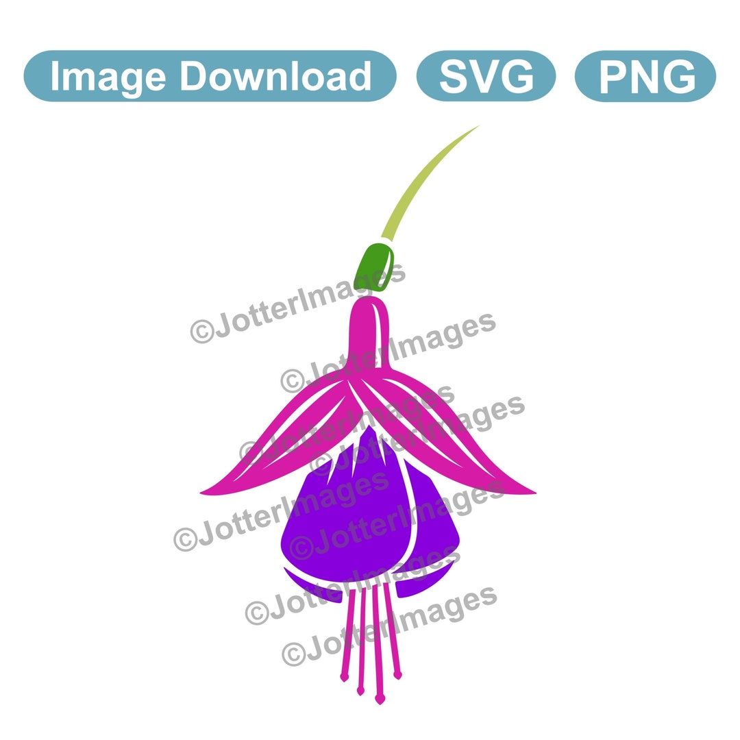 Basic Pink and Purple Fuchsia Flower Shape Image Download SVG, PNG ...