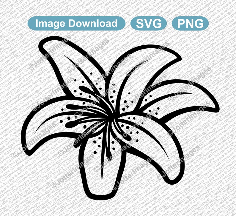 Basic Lily Flower Shape Image Download SVG, PNG Transparent Background ...
