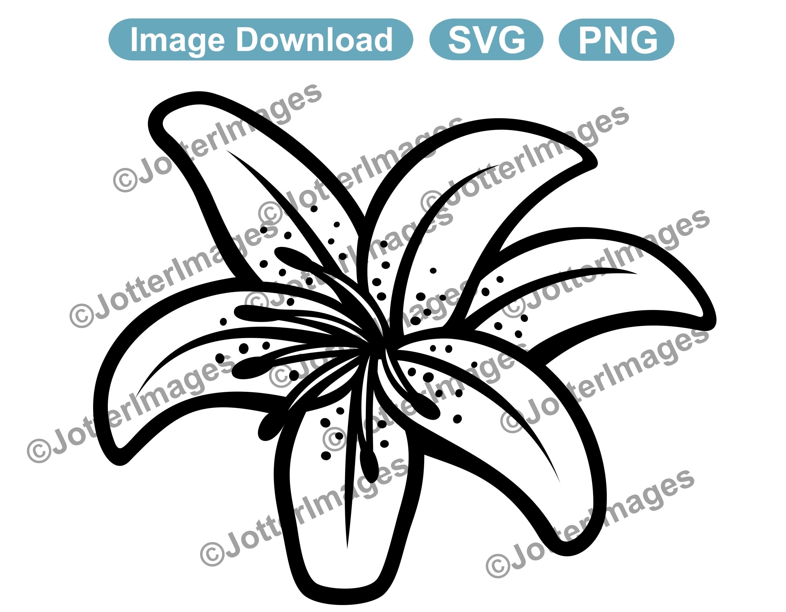 Basic Lily Flower Shape Image Download SVG, PNG Transparent Background ...