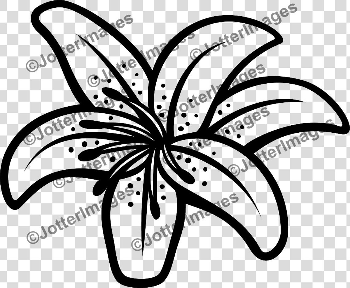 Basic Lily Flower Shape Image Download SVG, PNG Transparent Background ...