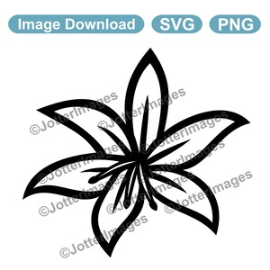 Basic Lily Flower Shape Image Download SVG, PNG Transparent Background ...