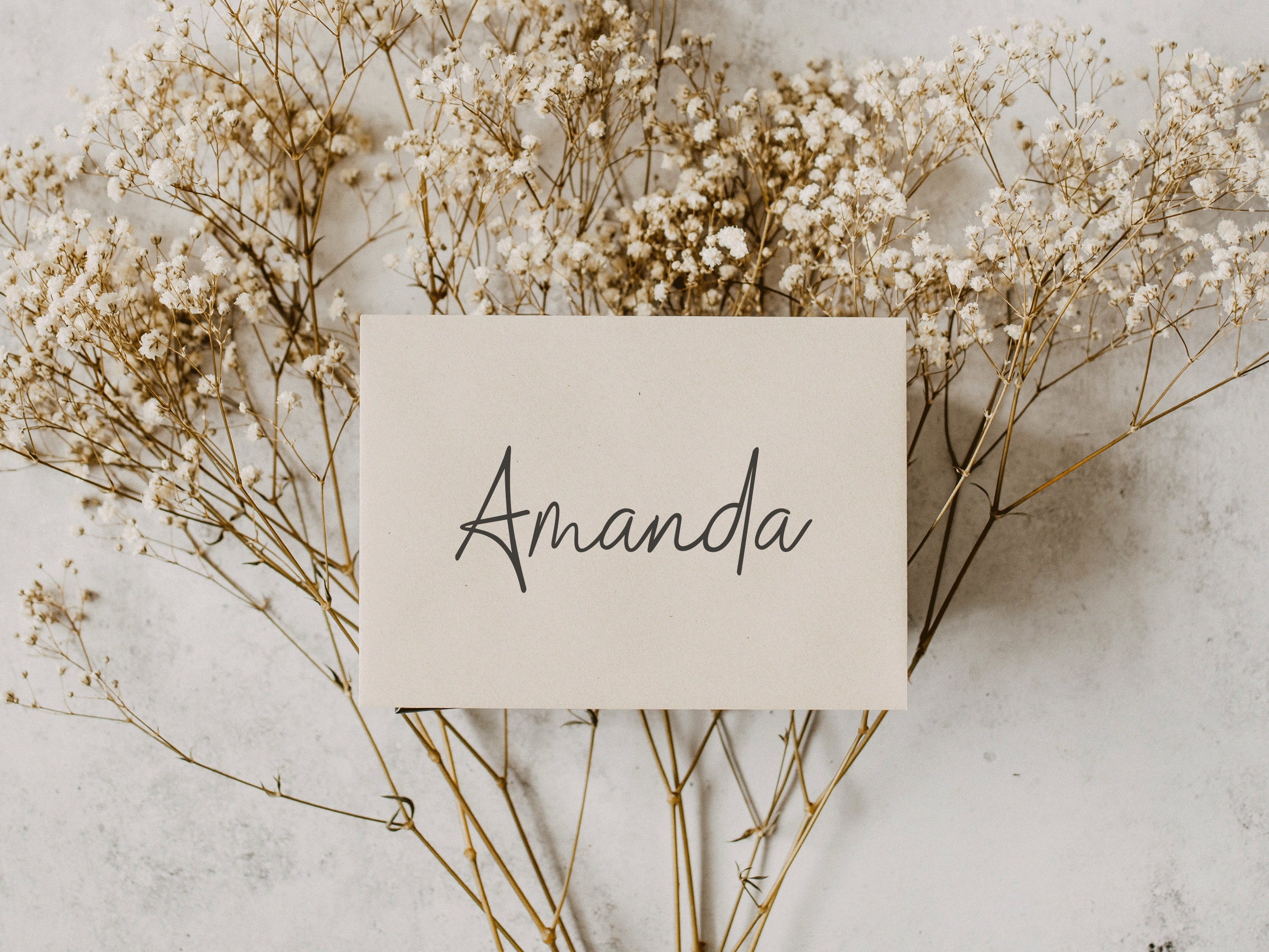 Isabella Script Desktop Web Font Monoline Script Script Fonts ...