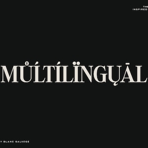 The One Serif | Editorial Font | Luxury Font | Modern Font | Font ...