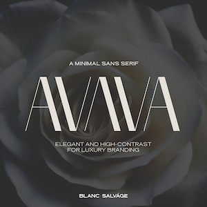 Font Bundle | Canva Fonts | Modern Fonts | Web Editorial Fonts ...