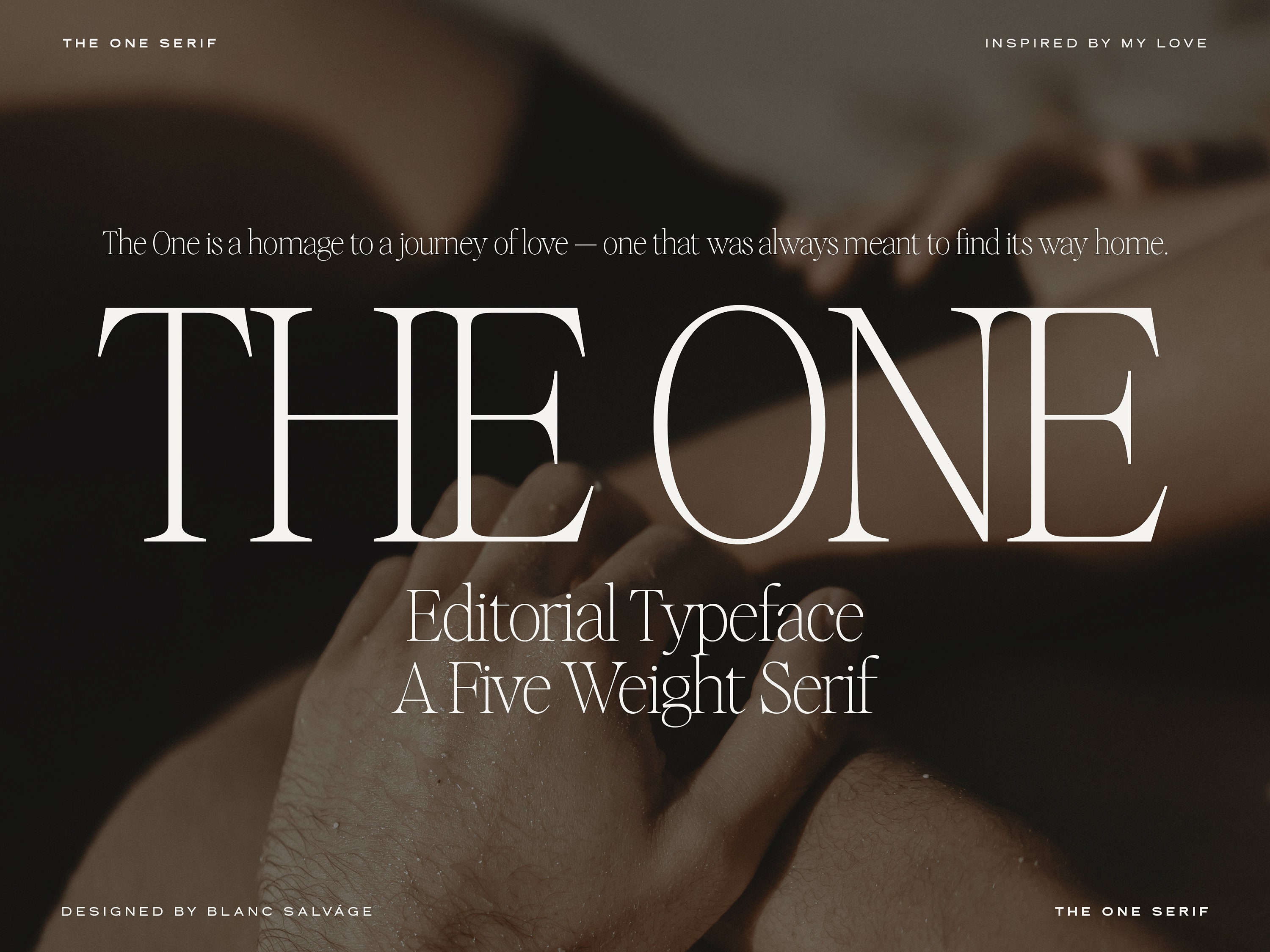 The One Serif Editorial Font Luxury Font Modern Font Font Family ...