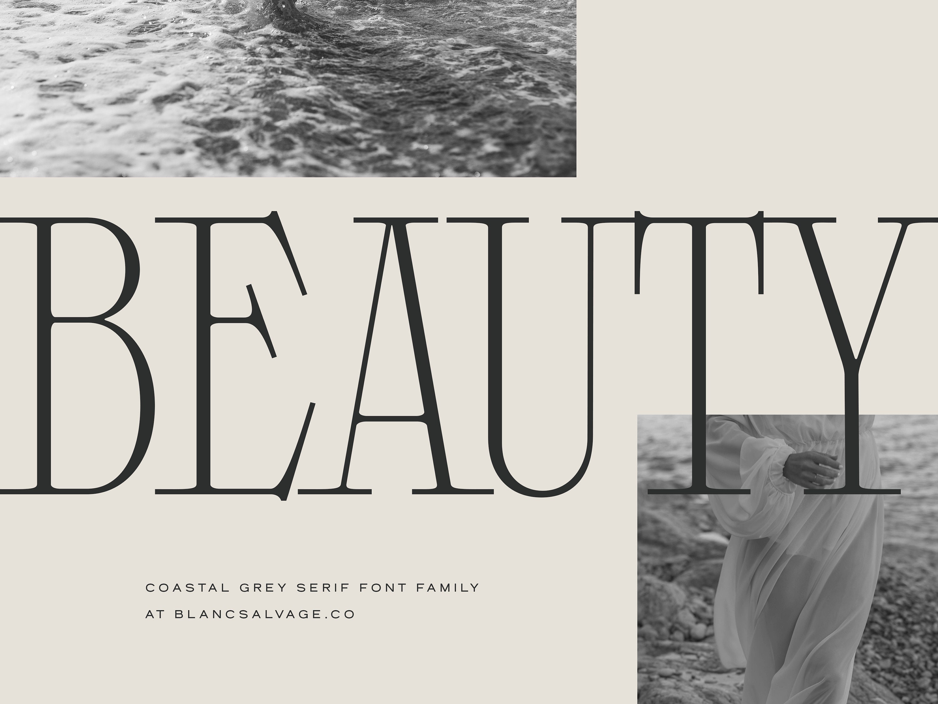 Coastal Grey Serif Font Desktop Only + With BONUS All Caps Font ...
