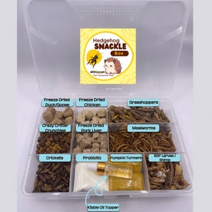 Hedgehog Snackle Box Hedgehog Trail Mix - Etsy