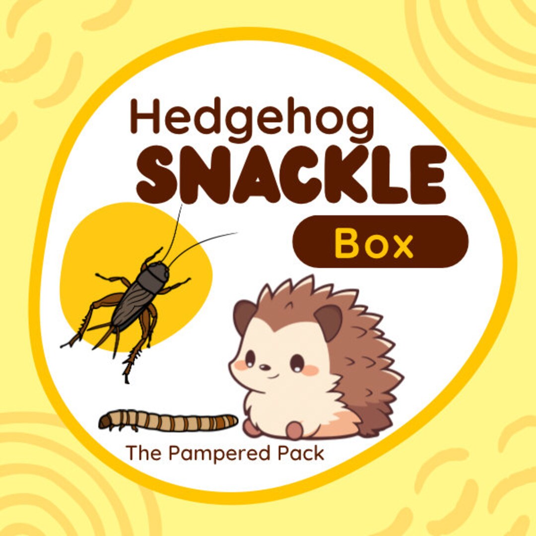 Hedgehog Snackle Box Hedgehog Trail Mix - Etsy