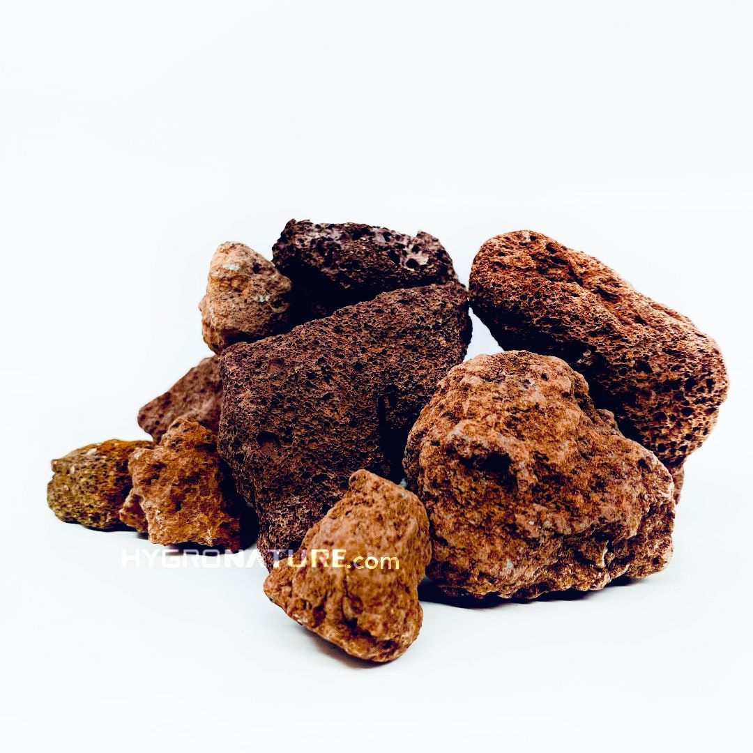 Red Lava Rock for Aquariums Aquascape Terrarium Bonsai Decor Moss ...
