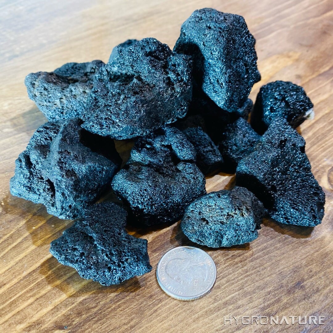 Black Lava Rock for Aquariums Aquascape Terrarium Bonsai Decor Moss ...