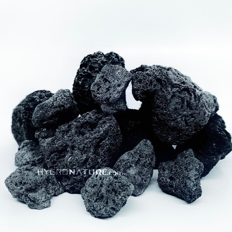 Black Lava Rock for Aquariums Aquascape Terrarium Bonsai Decor Moss ...