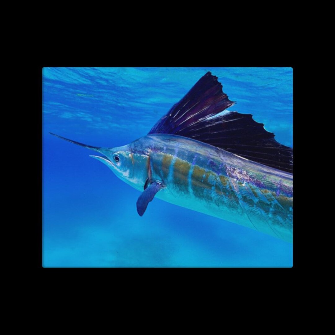 Sailfish Ocean Art Print - Vibrant Underwater Canvas for Coastal ...