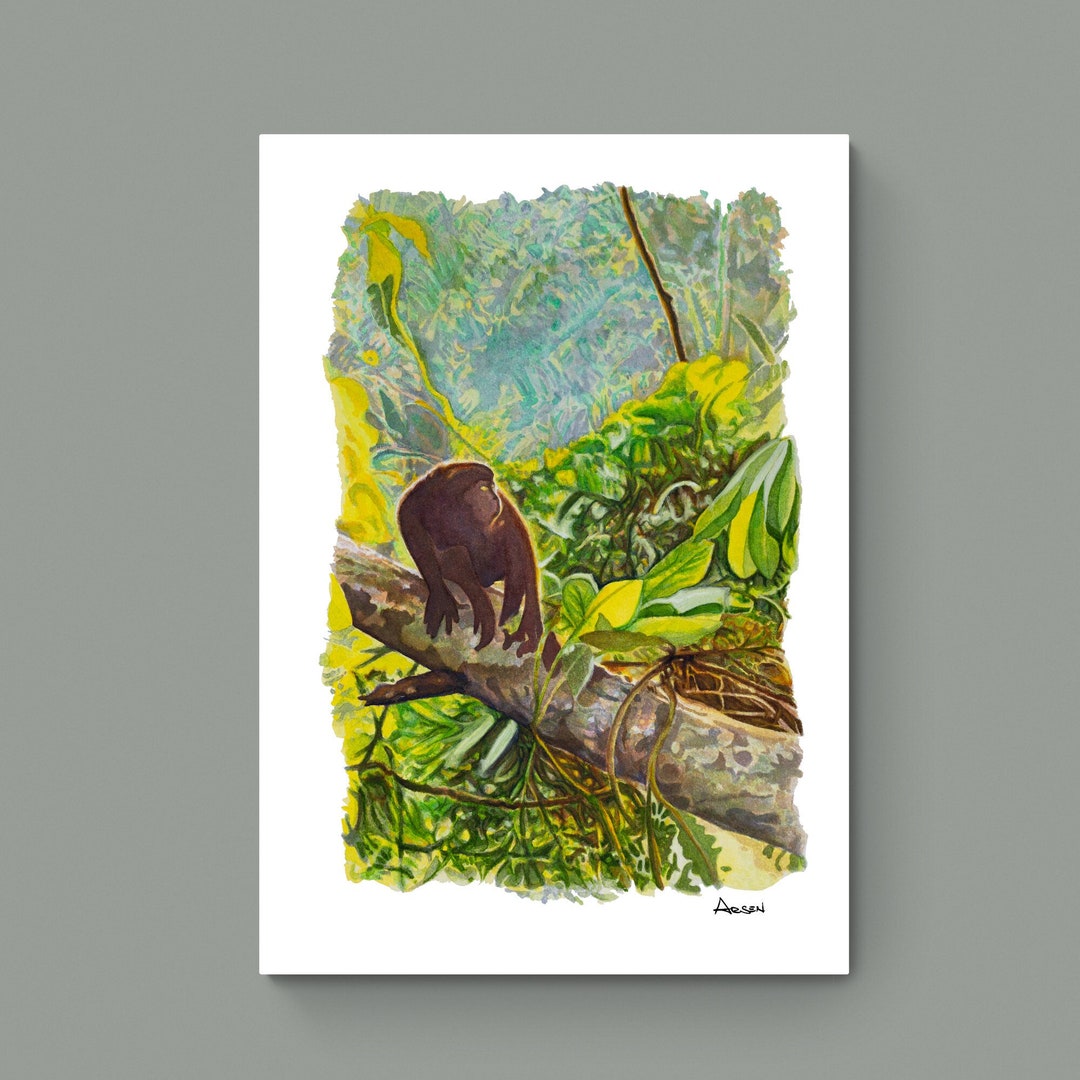 Howler Monkey High-resolution Digital Image Download, Original ...