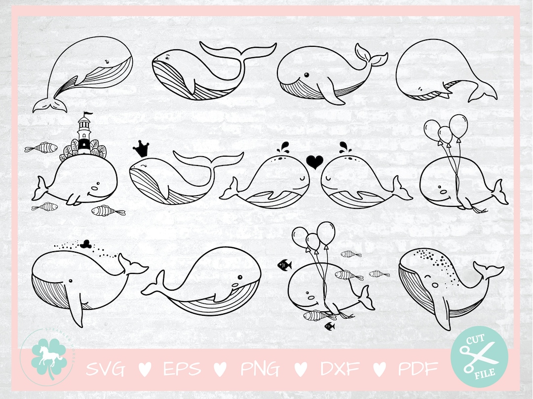 Whale Svg Whale Clipart Sea Animal Cut File Ocean Animal Whale - Etsy