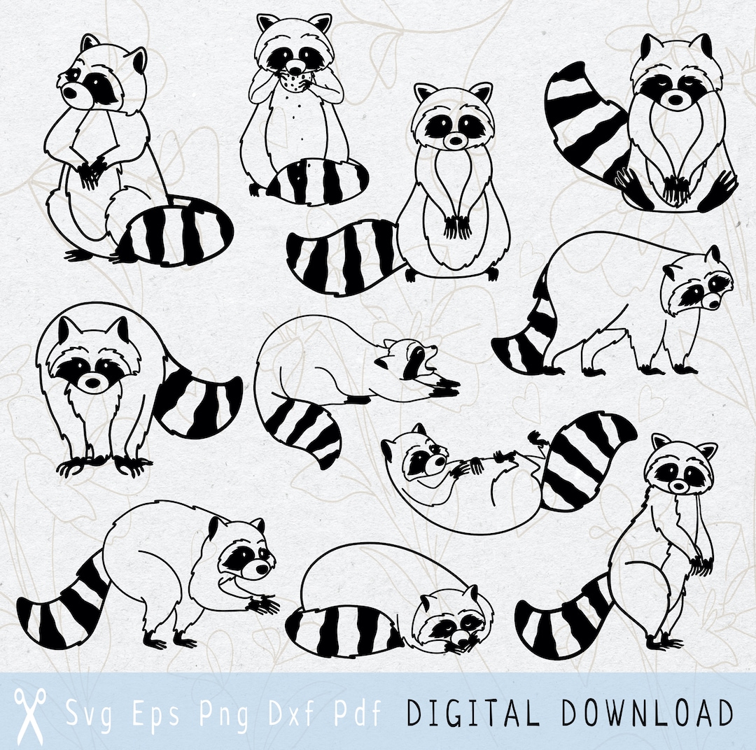 Mapache svg archivo bosque animal svg mapache rayado svg - Etsy México