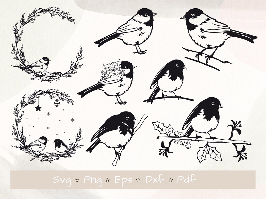 Robin Svg Files for Cricut Bird Vector Files for Laser Cnc - Etsy