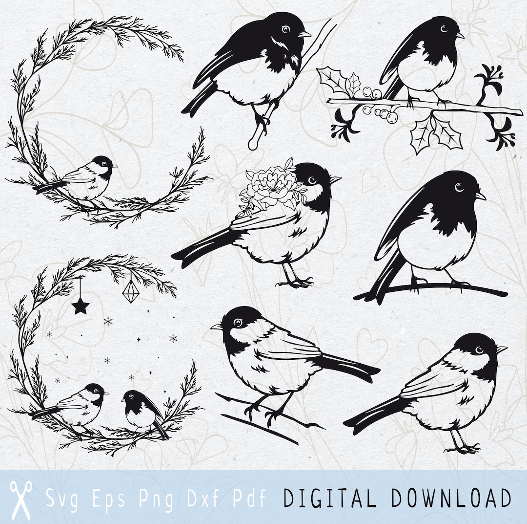 Robin Svg Files for Cricut Bird Vector Files for Laser Cnc - Etsy UK