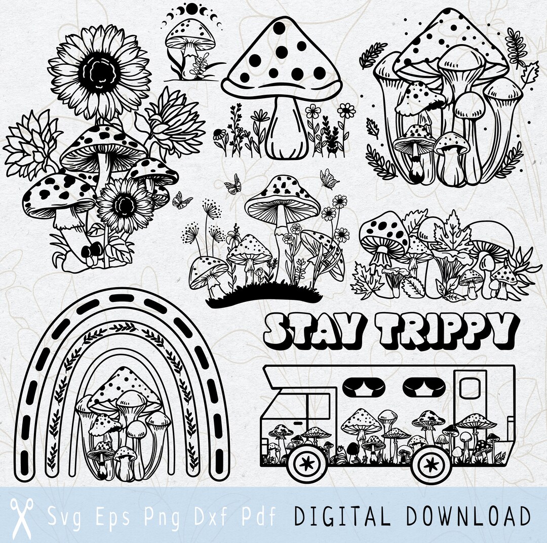 Paquete de setas svg Seta mágica svg dxf png jpg Seta - Etsy España