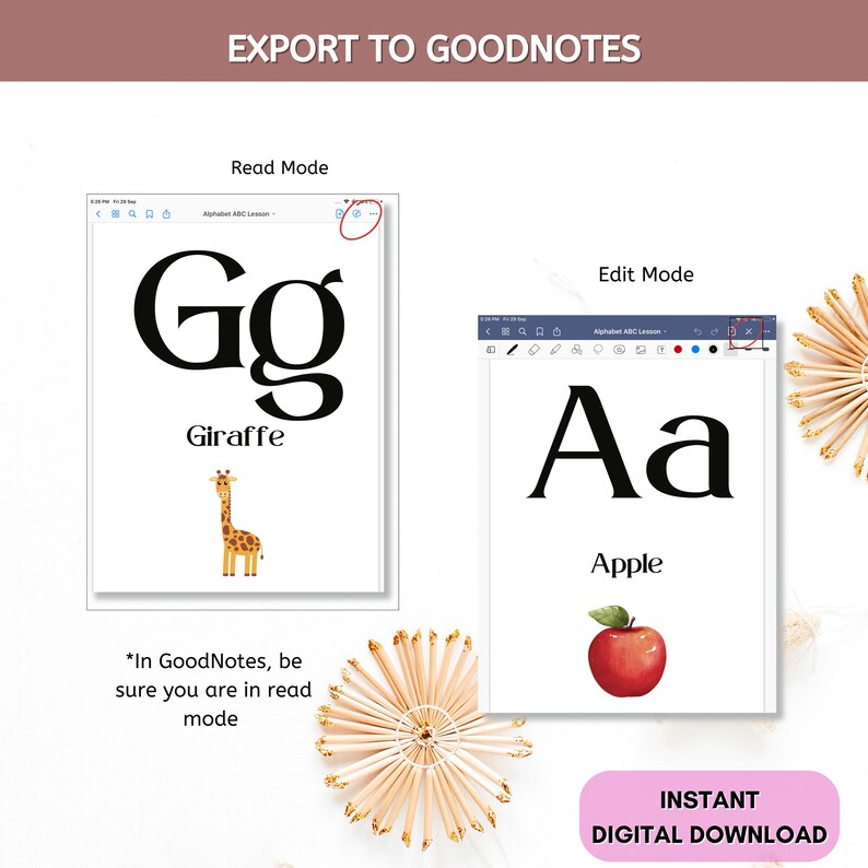 Alphabet Poster and Flash Cards Wall Decor Printable & Digital ABC ...