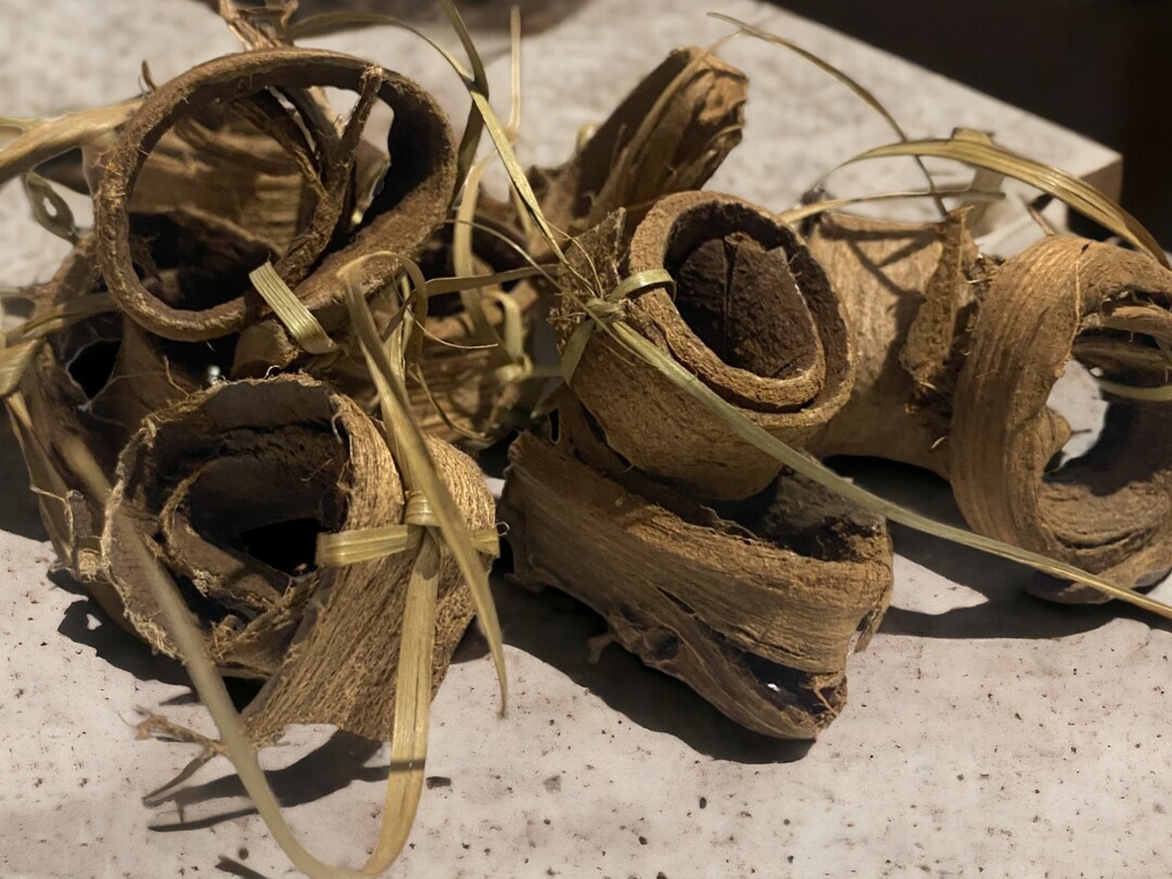 Moroccan Siwak Walnut Bark for Authentic Freshness | Have a Radiant ...