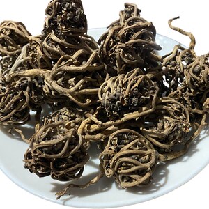 Shajarat Maryam: the Sacred Plant of Feminine Harmony | Palm of Mary ...