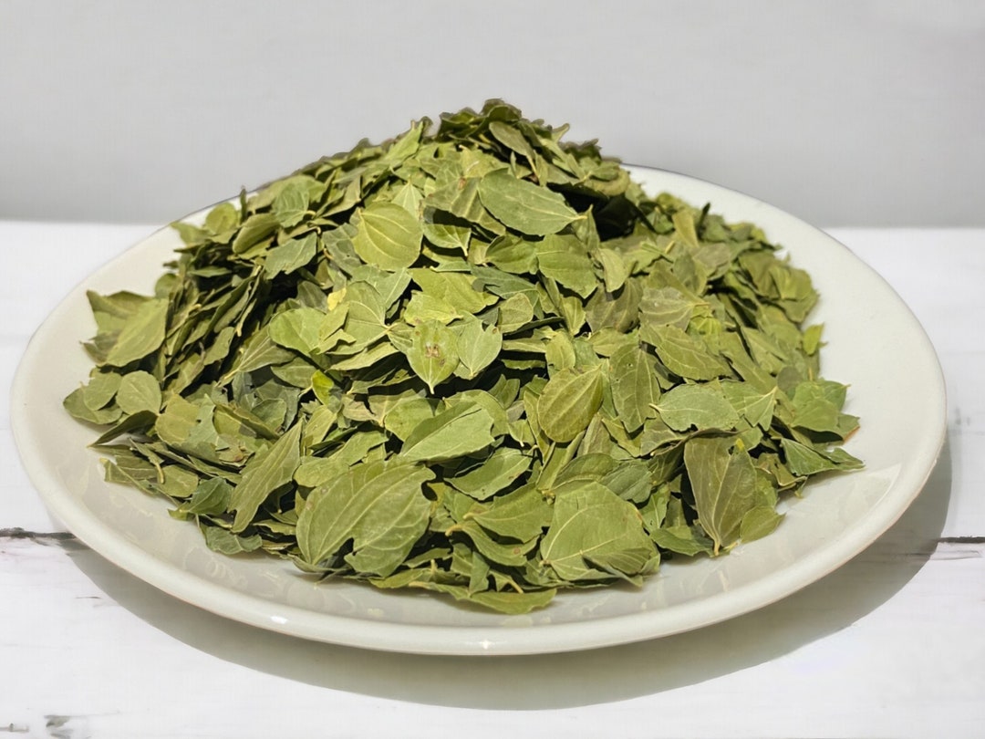 Dried Jujube Leaves sidr Sidr Leaves jujube Ziziphus - Etsy