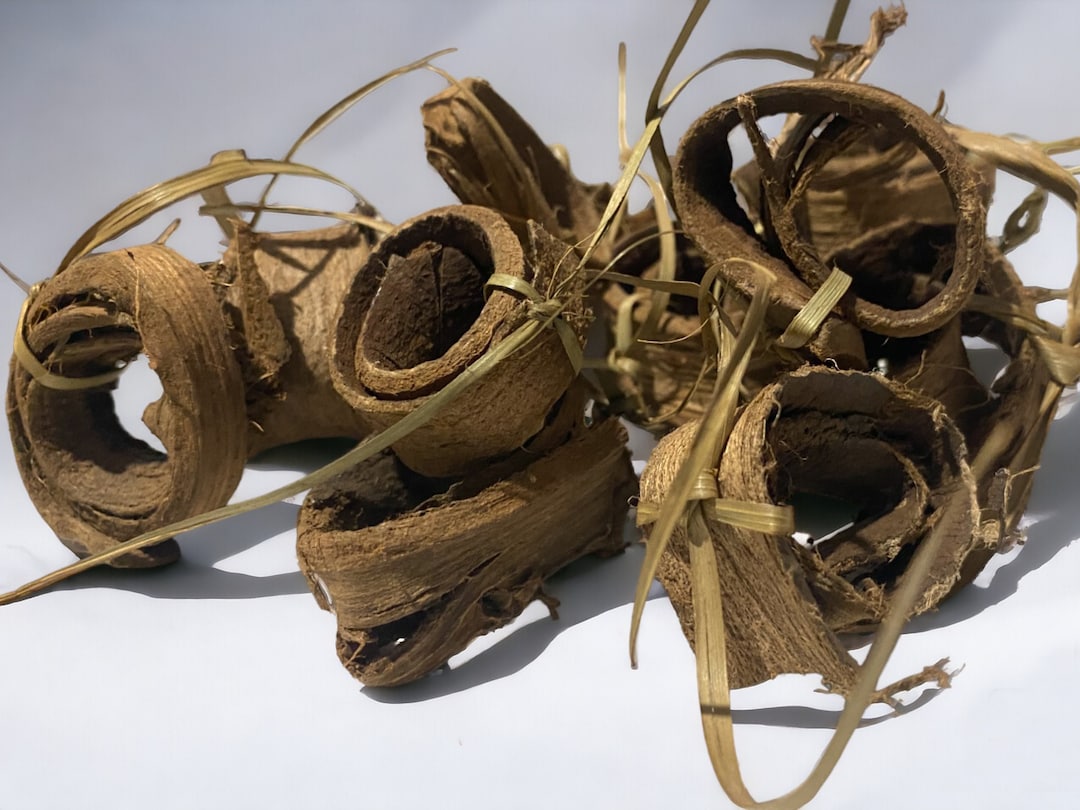 Moroccan Walnut Bark Siwak for Authentic Freshness Have a Radiant Smile ...