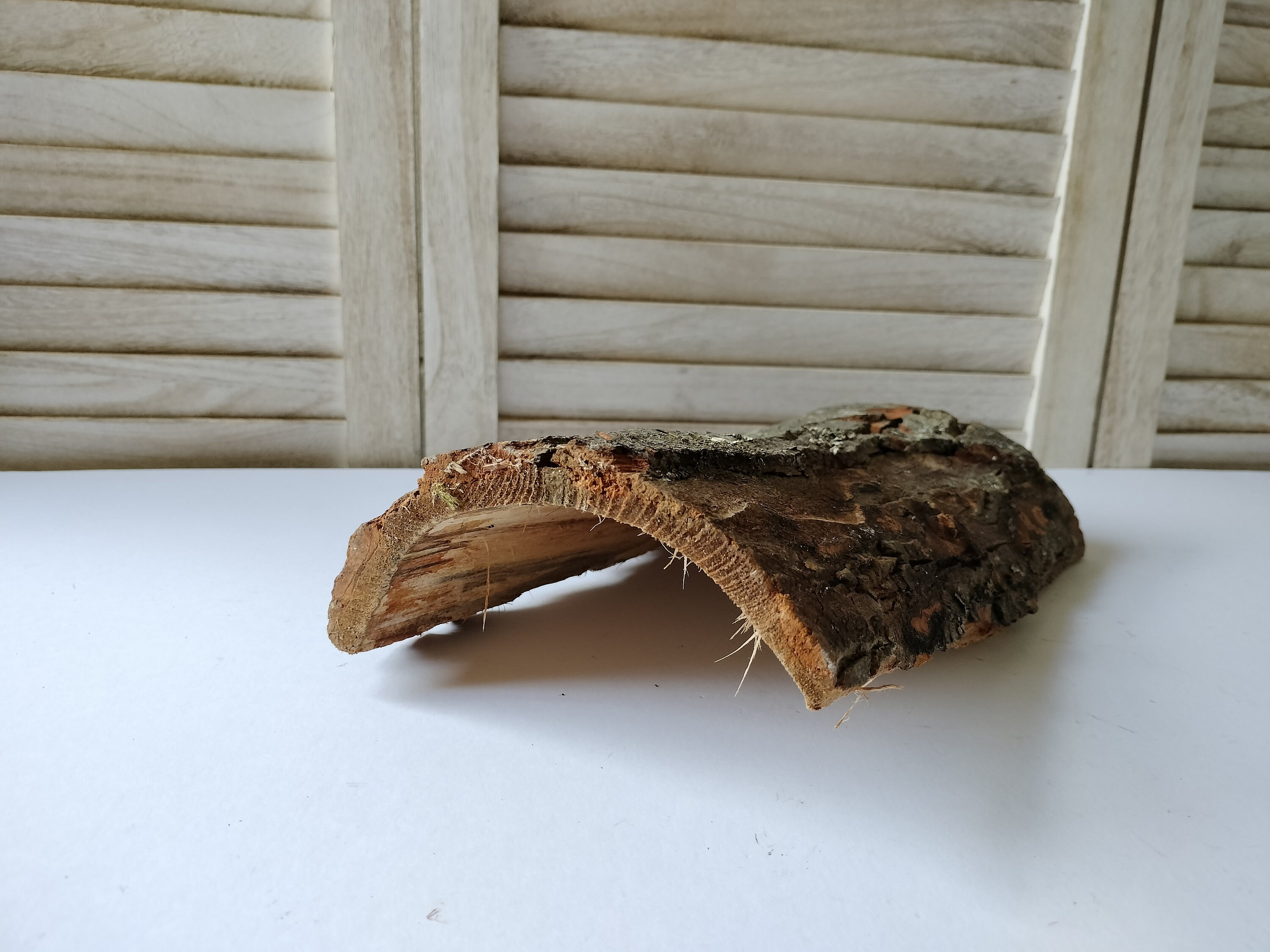 Tree Bark Half Round Bark Wooden Texture Wood Log - Etsy