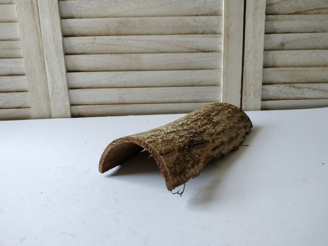 Tree Bark, Half Round Bark, Wooden Texture, Wood Log, Terrarium ...