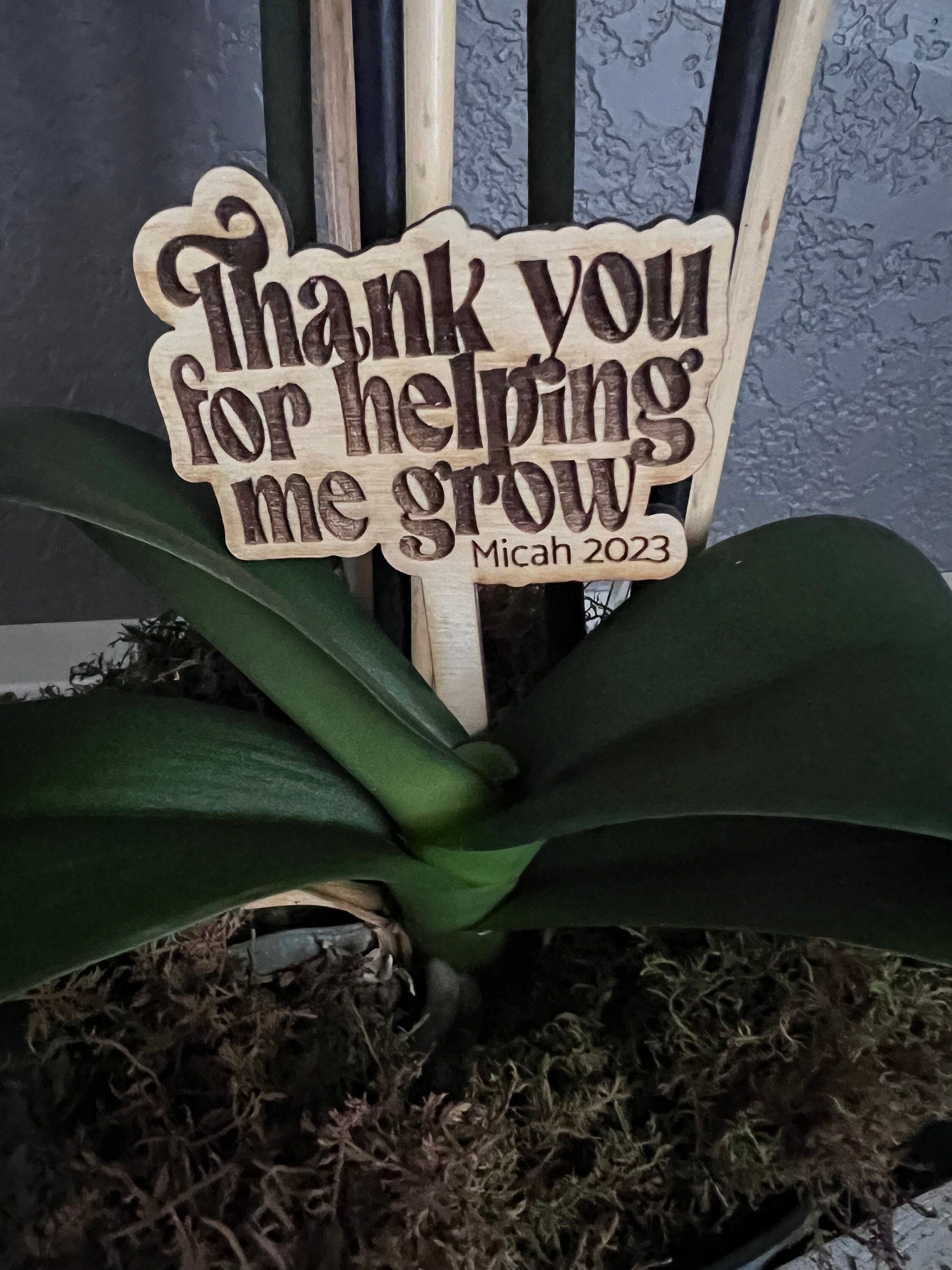 Thanks for Helping Me Grow-plant Stake-plant Decor-great Gift - Etsy