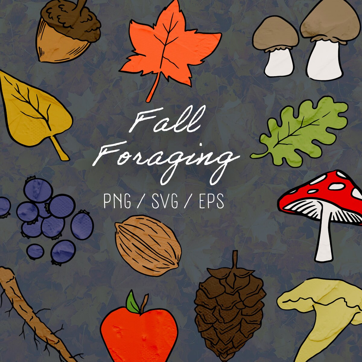 Fall Foraging Clipart Files PNG, SVG, EPS Cricut / Cut Files ...