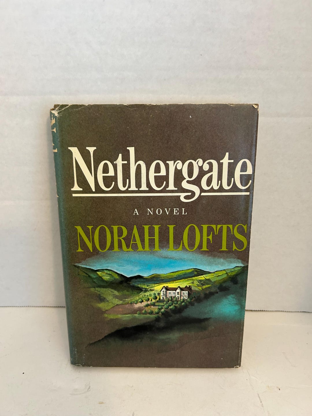 Nethergate Novel by Norah Lofts Vintage Book W Dust Cover 1973 - Etsy