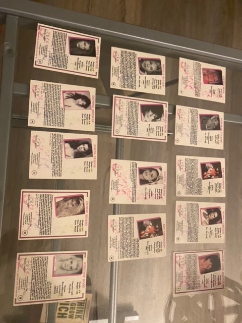 Benchwarmer Sexy Women Girl Model Trading Cards 1992 Sports Lingerie ...